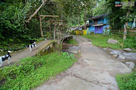 บ้านต้นไม้ แม่แมะ 67 Top Chiang Mai สุดยอด ที่เที่ยว ที่กิน ข้อมูลจังหวัดเชียงใหม่