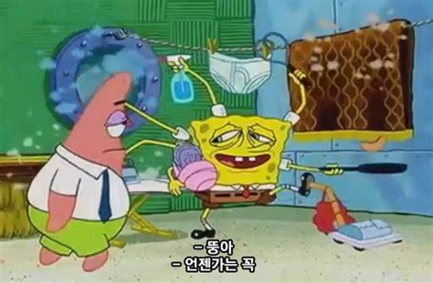 하이퍼리얼리즘인 스폰지밥 에피소드 인스티즈 instiz 이슈 카테고리