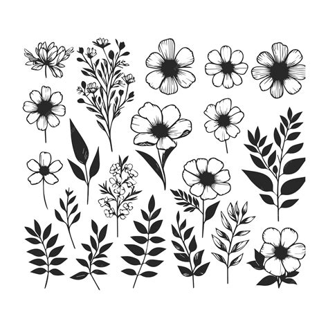 Classic Flower Ornament Vector Illustration Pack Design Premium Ai