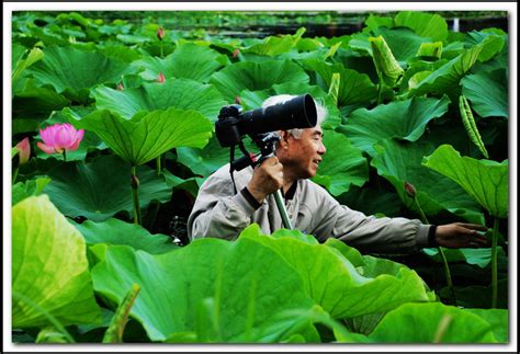 执着可敬的摄影老人 尼康 D80单镜头套机 样张 Pconline数码相机样张库