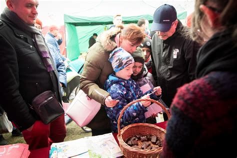 Festiwal gęsinowy w Przysieku Województwo Kujawsko Pomorskie