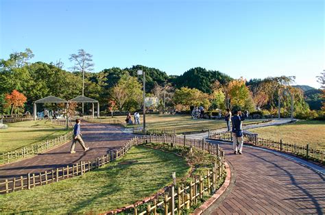 道の駅おばあちゃん市山岡の魅力を徹底解説！人気の理由とは 東海カメラマップ
