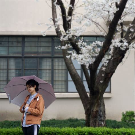 Wang Yiman Tongji University Shanghai Department Of Bioinfomatics