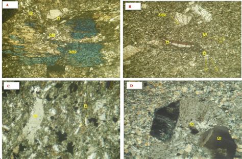 Photomicrographs A Metabasalt B Andesite C Dacite D Quartz