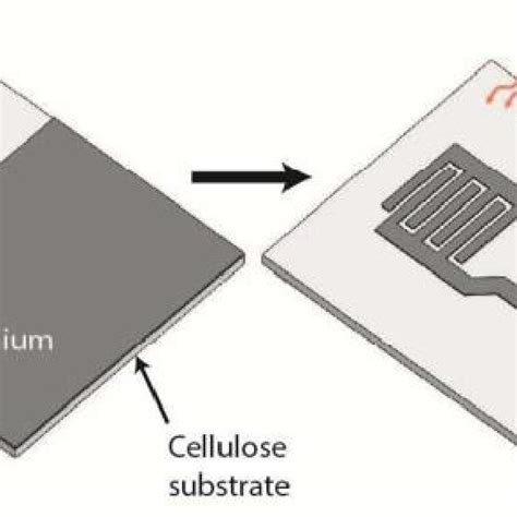 Schematic Illustration Of The Fabrication Procedure For Capacitive Download Scientific Diagram