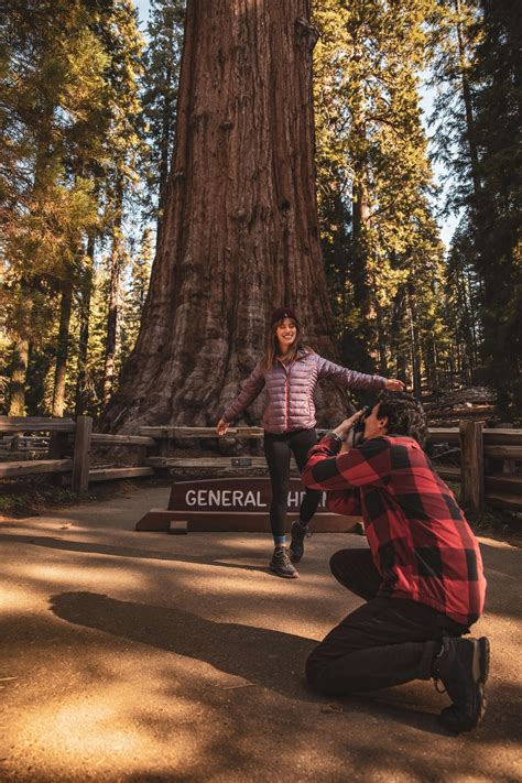 General Sherman Tree Sequoia National Park Ca