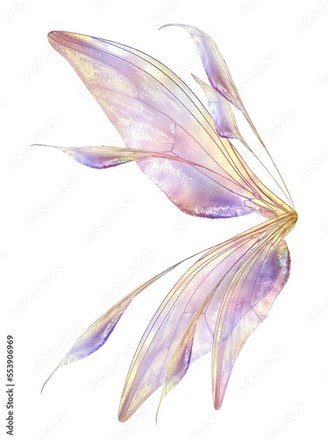 Png Fairy Wing Overlay By Atp Textures Stock Photo Adobe Stock