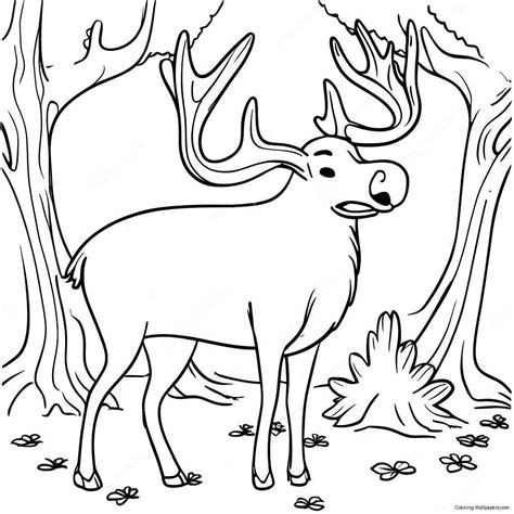 Realistic Deer Antler Coloring Page 73754 58393