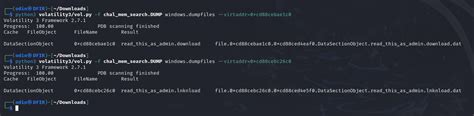 Wanictf 2024 Forensic Odin