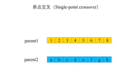 遗传算法交叉算子解析 Csdn博客