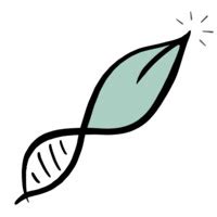 inLux Biotech | LinkedIn