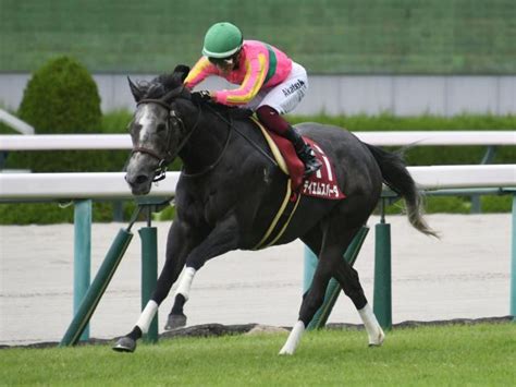 【jra・win5】本日のwin5は的中1票、配当4億2318万30円！ 競馬ニュース Netkeiba