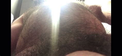 Exploring A Muscle Bear Body