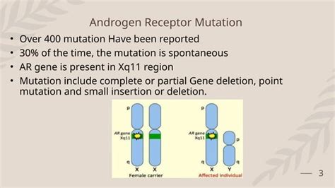 Testicular Feminization Syndrome Androgen Insensitivity Syndrome Ppt