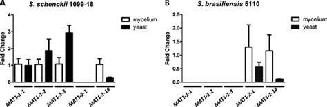 Quantitative Expression Of The Mat1 1 1 Mat1 1 2 Mat1 1 3
