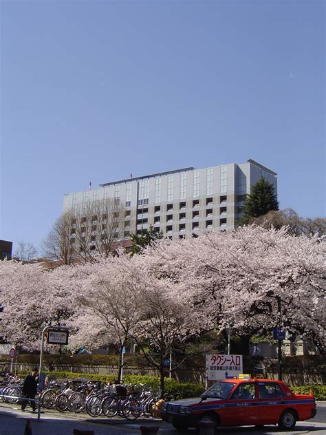 北里大学 医学部 東洋医学研究会 Added A New Photo 北里大学 医学部 東洋医学研究会