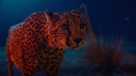 Nike Nacido Mercurial Agencia De Publicidad Mouse Interactivo SAS