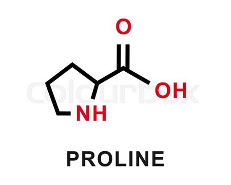 Structure Of Proline