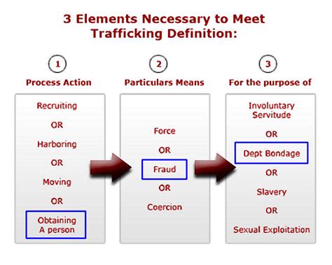 Using The Graph We See That Human Trafficking Can Be Defined As Obtaining A Person By Means Of