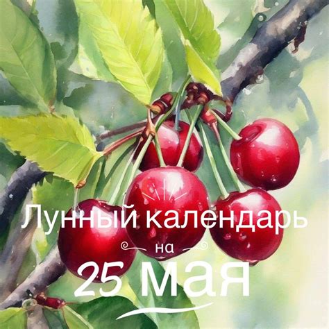 Лунный календарь. Живи в гармонии. 2024 | ВКонтакте