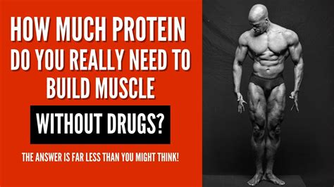 How Much Protein Do You Really Need Bodybuilding Essential Guide