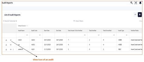 Audit Reports In Asset Infinity
