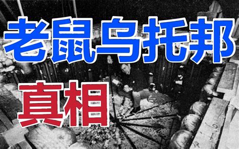 【百家饭堂】老鼠乌托邦实验真相 大口大口吃米饭 大口大口吃米饭 哔哩哔哩视频
