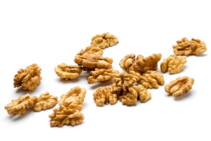 » How to Grow Walnuts » Backyard Gardening Blog