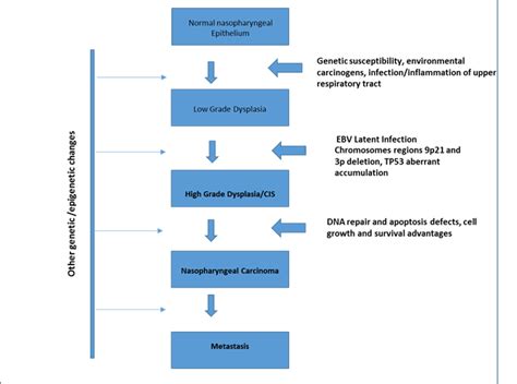 Nasopharyngeal Carcinoma Ebv