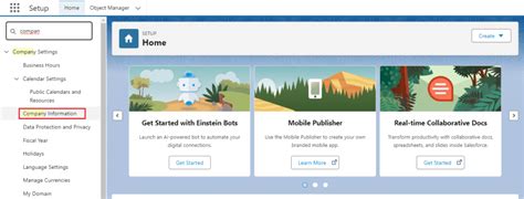 How To Set Up Languages In Salesforce Learn Salesforce With Anuhya