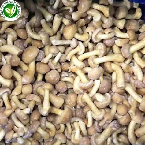 Forest Nameko Mushroom Suppliers And Manufacturers Wholesale Best