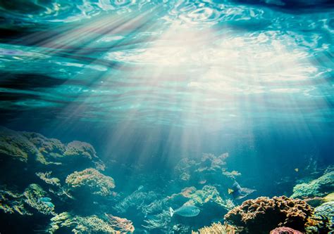 Por que a pressão no fundo dos oceanos é tão forte A Física explica