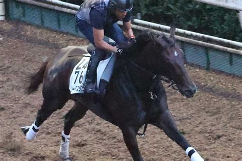 【関屋記念】ロータスランド軽い内容も気配上々12秒7 サンスポzbat