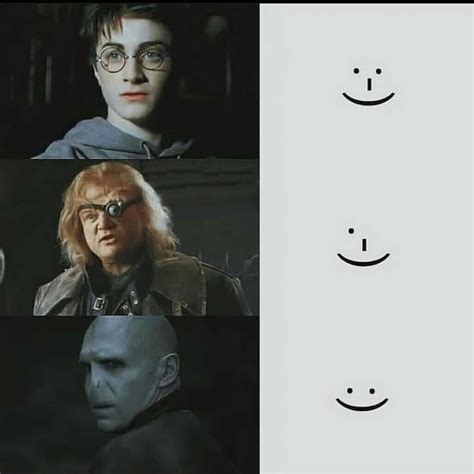 Memy Harry Potter Artofit