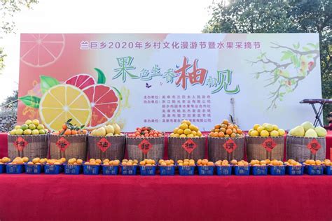 兰巨乡举行2020年乡村文化漫游节暨水果采摘节