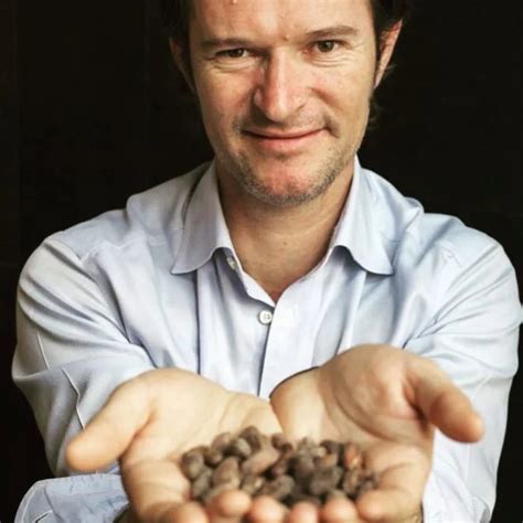 El Emprendedor Ecuatoriano Que Hace Chocolate Orgánico Con Sabores