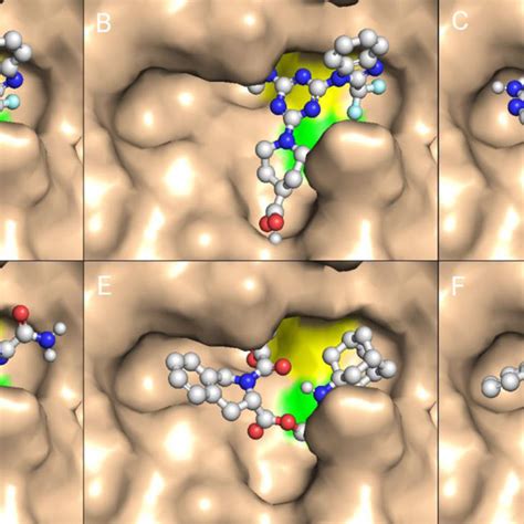 3d Binding Modes Of The Six Hits Compounds In The Substrate Binding