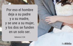 Textos bíblicos sobre el matrimonio Una guía para fortalecer tu