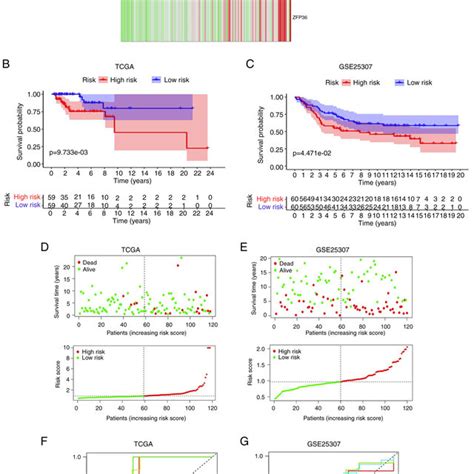 Construction And Validation Of A Three Gene Model Based On Least