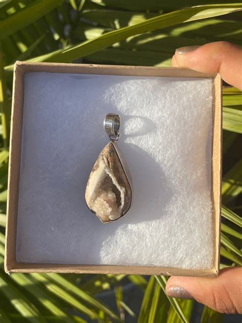 Rare Quartz Fossil Shell Pendant Natural Fossil With… Gem