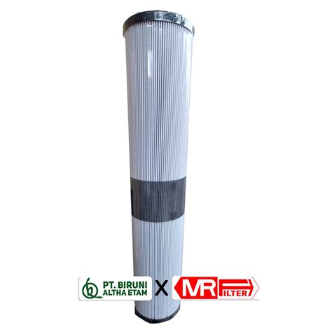 Element Filter Dfo 629plf10 Biruni Altha Etam