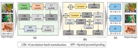 Ai Enabled Crop Management Framework For Pest Detection Using Visual Sensor Data Pmc