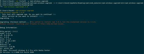 You Wanted To Install Npm 3 7 2 But The Installed Version Is3 3 4