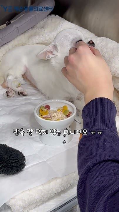 사랑과 정성의 입원 케어💗 Youtube