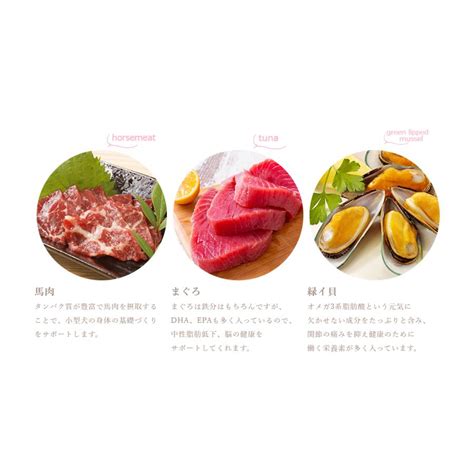 ミシュワン 1kg ドッグフード Mishone 小型犬用 全年齢対応 馬肉 まぐろ 鶏肉 グルテンフリー 主原料 国産 無添加 小麦グルテン