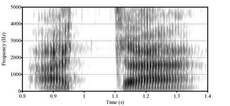 Spectrogram Of Aca Showing The Four Acoustic Correlates Of The