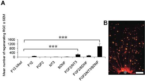 Numbers Of Surviving Rgc That Regenerated Axons At Least 2 Mm Into The
