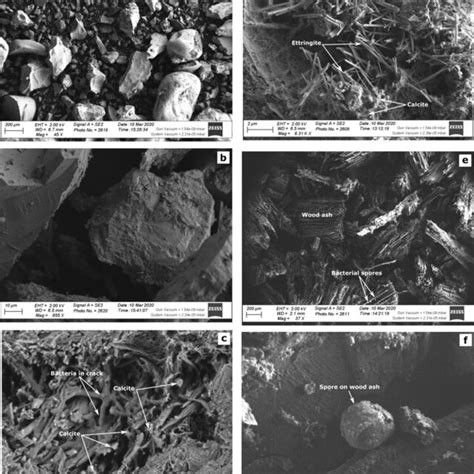Sem Micrographs A And B Control Concrete Specimens Of Loose