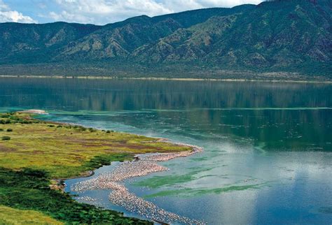 Rift Valley Lakes Hot Sex Picture