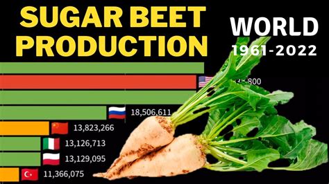 SUGAR BEET Production In The World 1961 2022 The Last 60 Years In 4